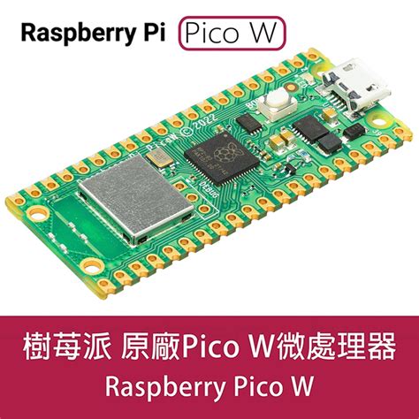 【鈺瀚網舖】 30 樹莓派 Raspberry Pi Pico W 開發板 （附排針、usb 線） 蝦皮購物
