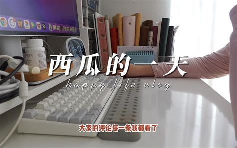 生活vlog我的一天丨记录20221013星期四 西瓜小太萌 西瓜小太萌 哔哩哔哩视频