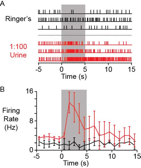 A Example Raster Plot Of Action Potentials Recorded From An Aob Neuron