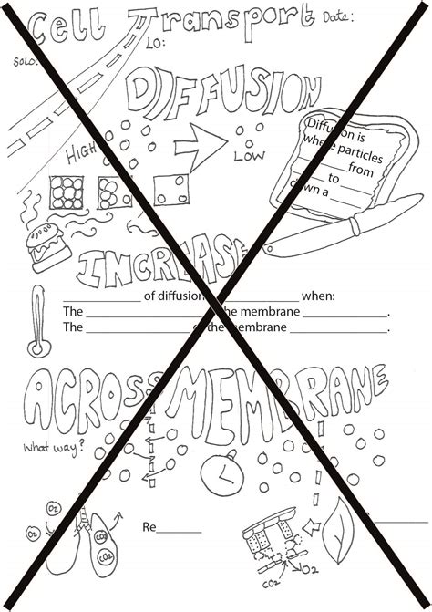 Diffusion Science Doodle Notes Teaching Resources
