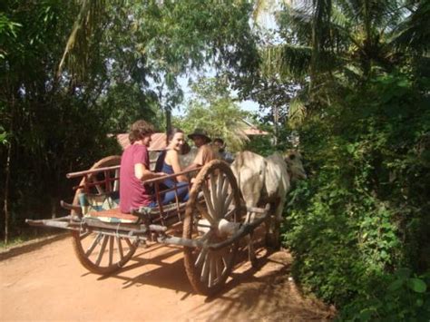 Best Cambodia Tour Guide Day Tours Siem Reap 2021 All You Need To