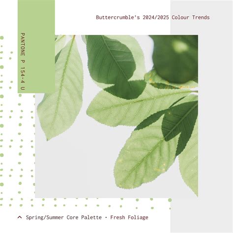 Refresh Your Brand With 20242025 Colour Trends — Buttercrumble