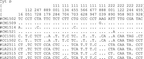Alignment Of Partial Dna Sequences Of Cyt B Gene Only Variable Sites