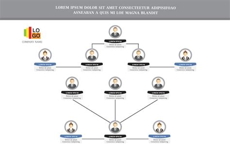 Page 14 Organization Decomposition Diagram Images Free Download On