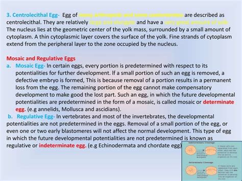 Types Of Egg Classification Of Eggs Structure Of Frog Egg Structure Of Chick Egg PPTX