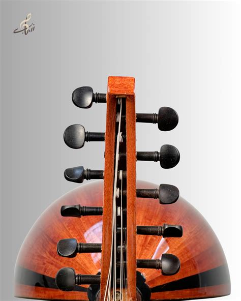 Tarb 3 T3 Zeryab Oud