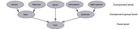Schematic Overview Of The Hierarchical Classifier Download Scientific