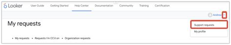 The Legacy Looker Customer Portal Google Cloud