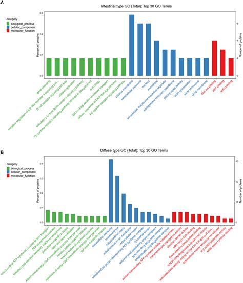 Gene Ontology Go Analysis Was Performed To Evaluate The Biological