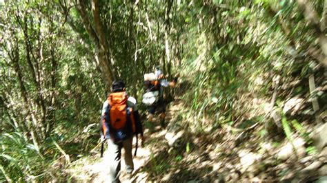 重視山林的守護者 巡山員 花蓮旅遊登山健行攝影詩詞影像散文 Udn部落格