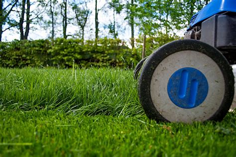 Overseeding Your Lawn And Watering As Part Of Good Lawn Care Practice