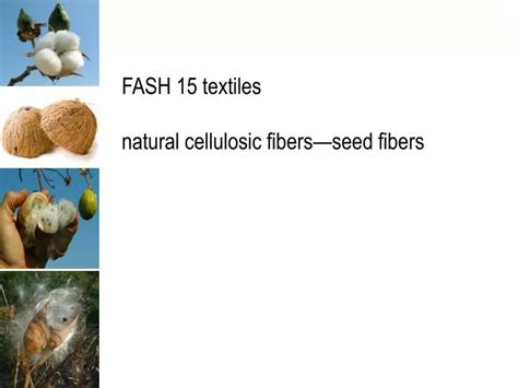 Ppt Fash 15 Textiles Natural Cellulosic Fibers—seed Fibers Powerpoint Presentation Id978987