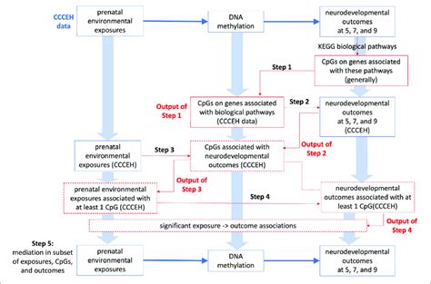 Overview Of Five Steps Download Scientific Diagram