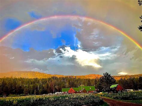 Plasses Resort Hipcamp In Pioneer California