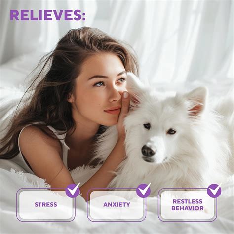 Relaxivet Calming Diffuser Kit For Dogs And Puppy Pet India Ubuy