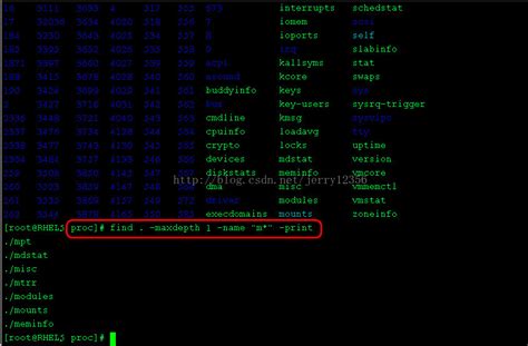使用find命令在当前目录不包含子目录中查找文件 find 不包含目录 csdn博客