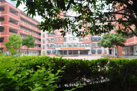 2019合肥滨湖寿春中学小升初招生简章及收费标准