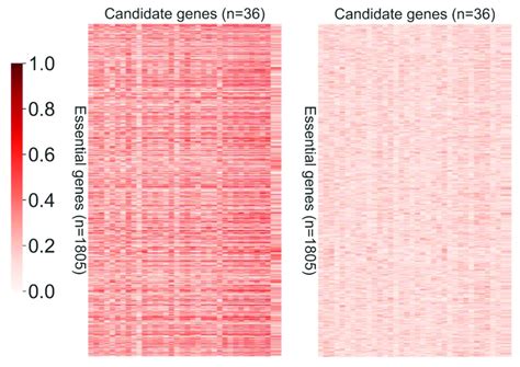 Correlation Between The Overlapping Candidate Genes And Known Essential