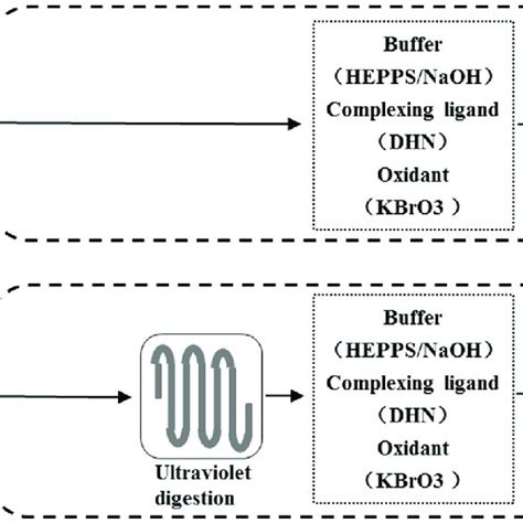 Schematic Diagram Of The Iron Speciation Analysis In Coastal Seawater Download Scientific Diagram