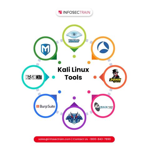 Top Kali Linux Tools For 2024 Artofit