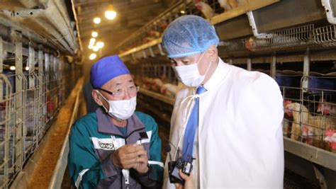 Монголдоо өсгөж буй тахианы махаар дотоодын зах зээлийн 20 хувийг хангахаар зорьж байна