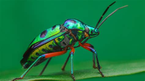 ai generated bug reports a growing challenge for open source maintainers