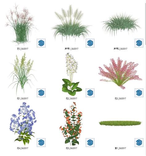 3d Tree Sketchup Model High Quality Tree 3d Model