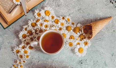 Try These 5 Herbal Drinks For A Good Night's Sleep