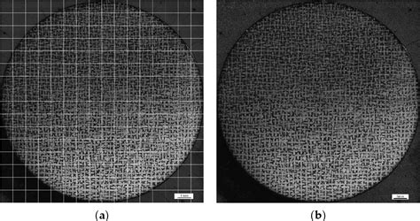 Figure 2 From Automatic Identification And Quantitative Characterization Of Primary Dendrite