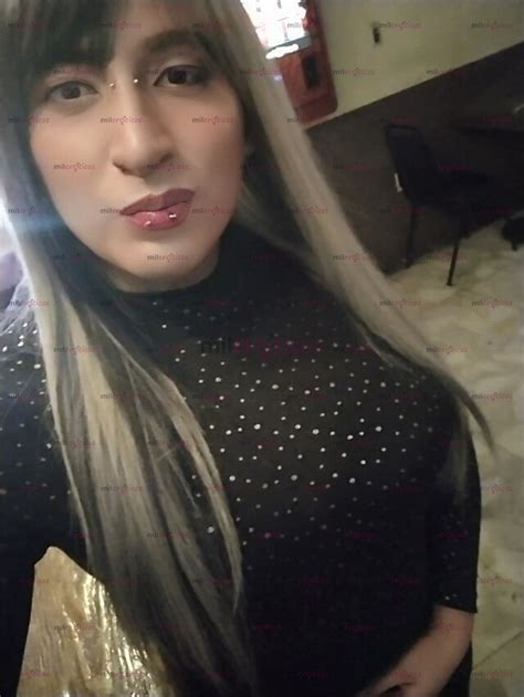 5560604360 Soy Tu Putita 25146398 MilerÓticos