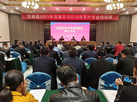汉阴：成立茶叶协会及茶产业高质量发展联盟