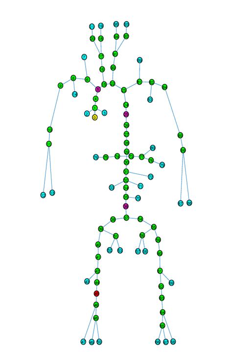 Simplified Model Geometry Of The Human Systemic Circulation With Total