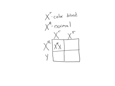 Video Solution In Humans Red Green Color Blindness Is An X Linked