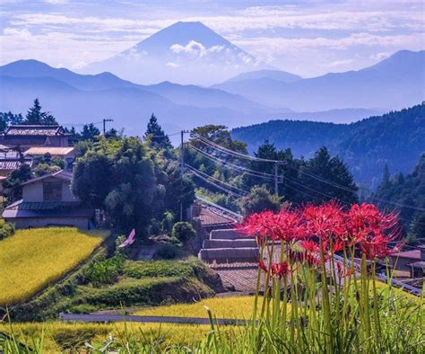 Hitoshi Naitou hina21no3 里山の秋 富士川町で以前撮影 Landmarks Fuji Natural