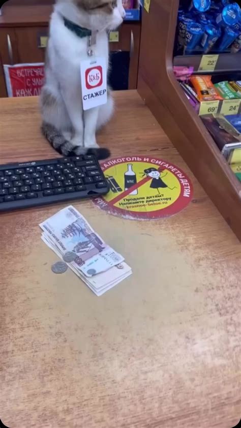 🐒Лапософия🐶 В одном из магазинов «Красное и Белое найден кандидат на