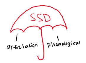 CSD 212 Exam 1 SELU Melissa Caserta Flashcards Quizlet