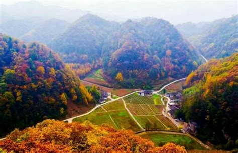 广元曾家山风景区图片 广元曾家山风景区 曾家山旅游景点图片 大山谷图库