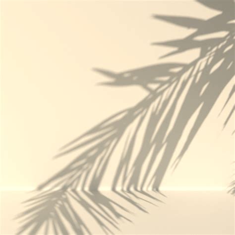 Palm Tree Gobos 1 Free Motion Design Models Blenderkit