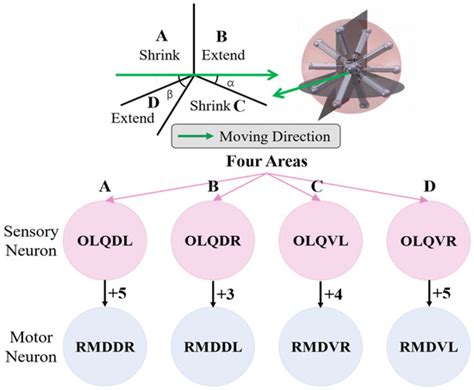 Biomimetics Special Issue Bio Inspired And Biomimetic Intelligence