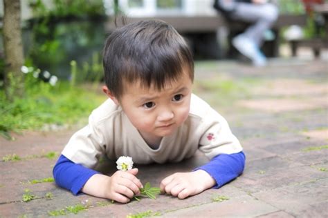 お兄ちゃんだからお姉ちゃんなのにと言っていませんか 上の子の悩みと対策を考える