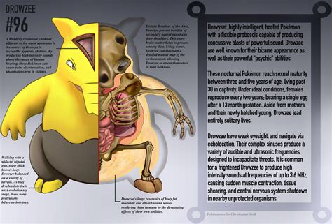 Drowzee Anatomy Pokedex Entry By Christopher Stoll On Deviantart