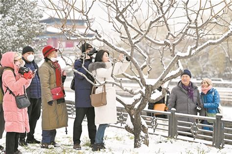 羊城晚报 一夜银装裹 雪落满京城