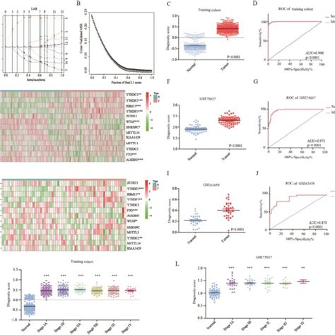 Diagnostic Role Of M 6 A Rna Methylation Genes Related Model A B The Download Scientific