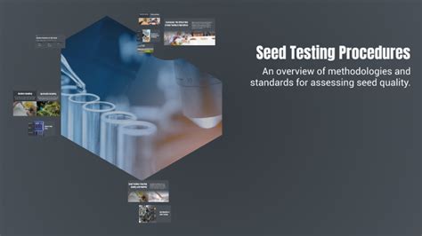 Seed Testing Procedures By Aida Madia On Prezi