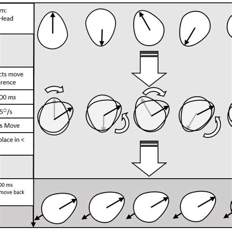 Head Movement Tracking Download Scientific Diagram