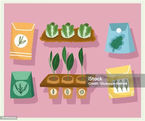 園藝圖示設置種植園植物和種子手繪顏色向量圖形及更多休閒活動 主題圖片 休閒活動 主題 哥倫比亞 國家 園藝 Istock