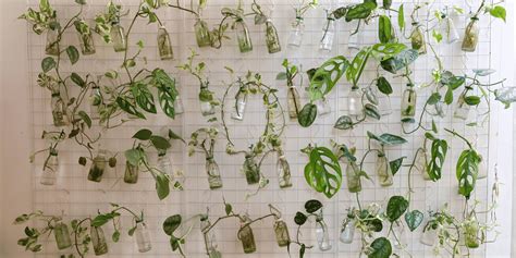 Sustainability Prompts For Your Ecec Butler Diaries