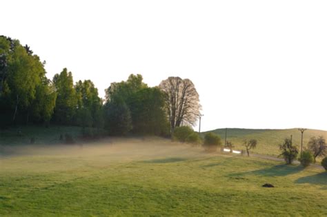 Autumn Landscape With Mist Nature Sunlight Foggysunrise Mist Park