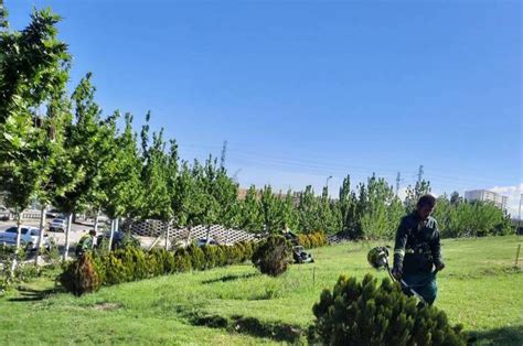افزایش سرانه‌های گردشگری تفریحی با توسعه سه بوستان جنگلی شهر تهران در