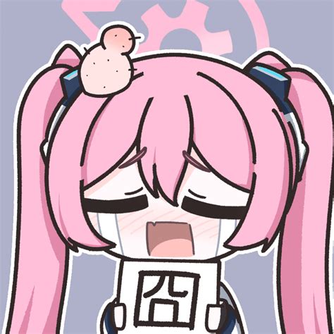 약후블루아카 세미나 멤버들의 키와 가슴 크기 비교 유머 게시판